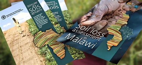 Global Soil Partnership Fao Food And Agriculture Organization Of