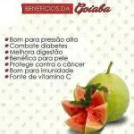 Goiabeira Caracter Sticas Nome Cient Fico E Fotos Mundo Ecologia