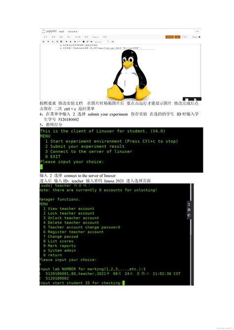 linux实验linux基本操作 csdn博客