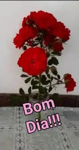 A Vase Filled With Red Roses Sitting On Top Of A Lace Tablecloth