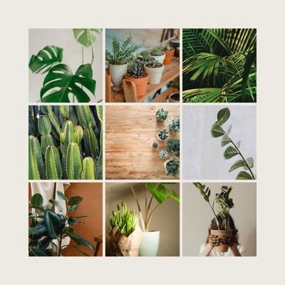 Plantillas Plantas Gratis Y Editables Canva