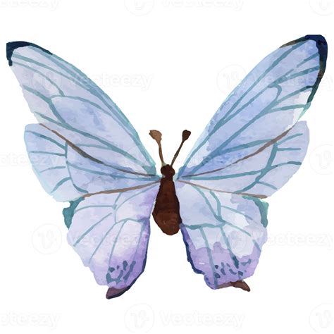 Watercolor Blue Purple Butterfly 10921895 PNG