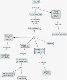 MAPAS CONCEPTUALES MIND MAPS Y SCIENCE EXPERIMENTS MAPAS