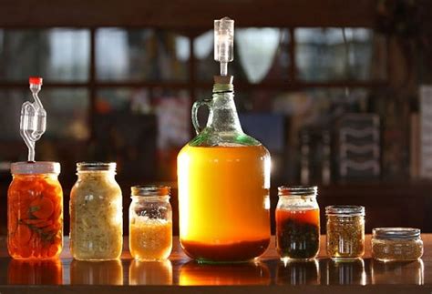 Pengertian Jenis Dan Reaksi Kimia Fermentasi Kajianpustaka