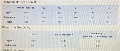 Solved Calculate Allele Frequencies In The 5th Generation Chegg