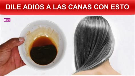 Tinte Casero De Semilla De Aguacate Melaza Y Canela YouTube