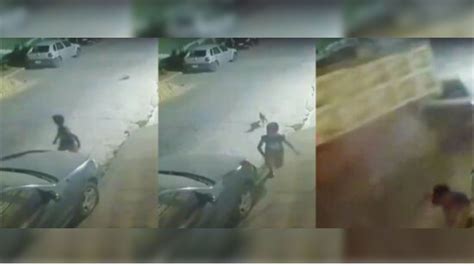 Niño se salvan de ser atropellado por un camión su perrito no
