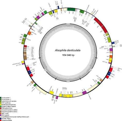 phylogenetic significance of the characteristics of simple sequence repeats at the genus level