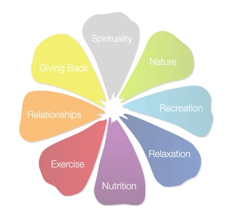 8 Ways To Achieve Optimal Health Dr Nick Chiropractic Soft Tissue