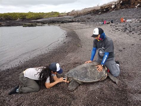 Exploración alrededor de la reserva marina de Galápagos RMG encontró