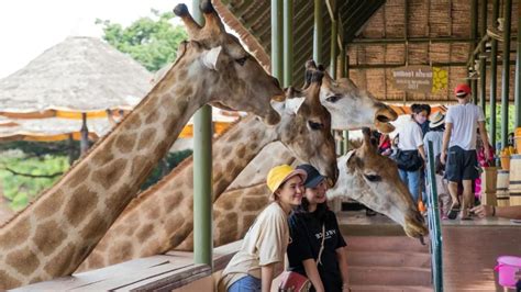 Rekomendasi Dan Rute Tempat Wisata Di Bangkok Yang Wajib Dikunjungi