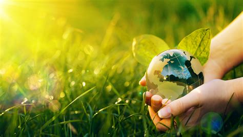 Meio Ambiente E Sustentabilidade Veja Por Que Adequar A Sua Distribuidora