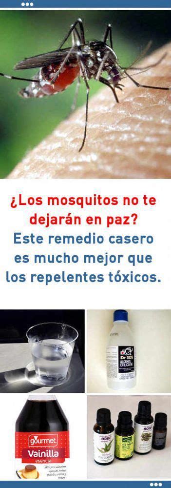 Los mosquitos no te dejarán en paz Este remedio casero es mucho mejor