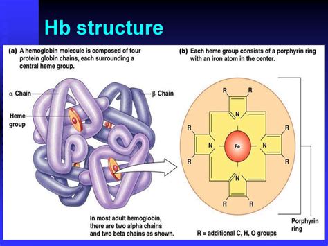 Hemoglobinopathies Hb Structure Online Presentation