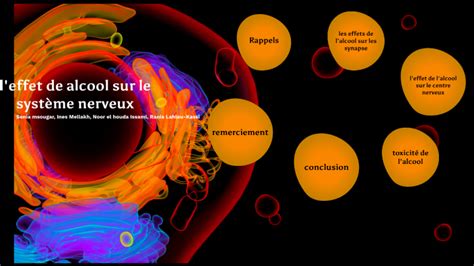 l effet de l alcool sur le système nerveux by sonia Msougar on Prezi