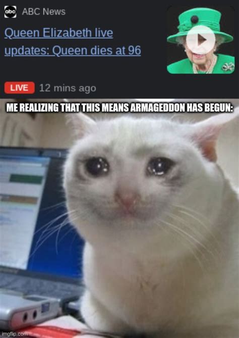 Image Tagged In Crying Cat Noooooooooooooooooooooooo Nooooooooo Luke