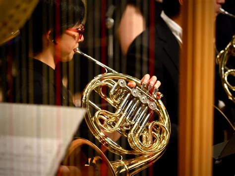 How To Hold A French Horn Top Tips Ted S List