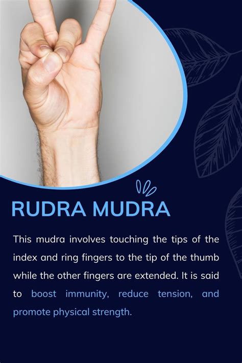Yoga Hand Mudra And Their Meaning Rudra Mudra In 2023 Mudras