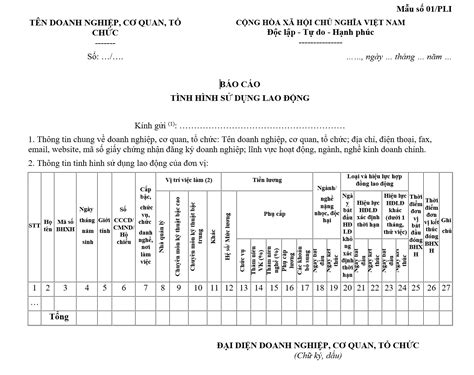 Hướng dẫn báo cáo tình hình sử dụng lao động 2023
