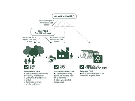 Obtén la certificación Forest Stewardship Council