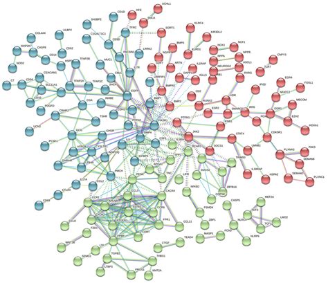 Proteinprotein Interaction Ppi Networks Of The Common Differentially