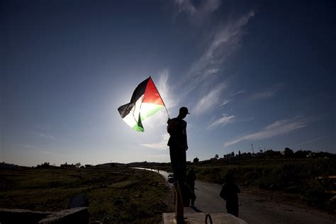 Flag Palestine 5K Wallpaper Hdwallpaper Desktop Wallpaper Online