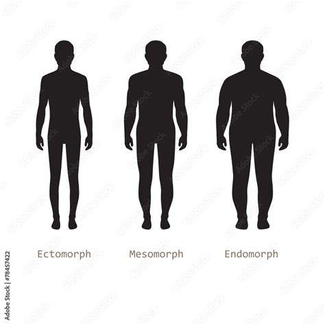 Vetor De Body Male Types Silhouette Man Naked Figure Front Human Body