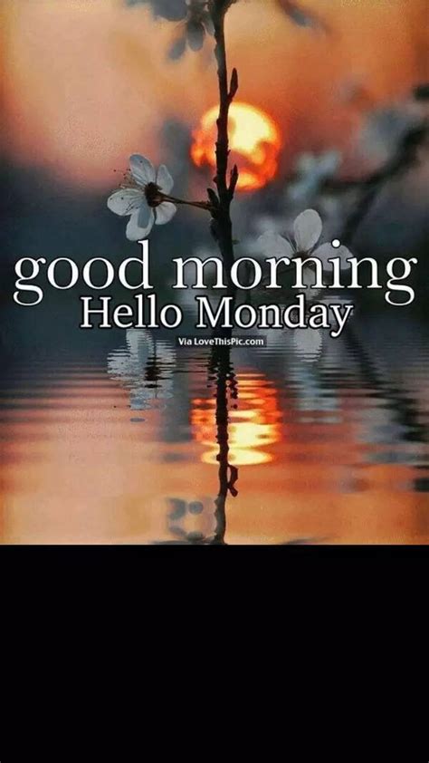 Collection Of Amazing Full 4K Good Morning Monday Images Top 999