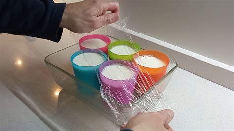 Elaboración yogur Importancia de bacterias alimentación Experimento