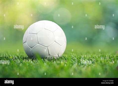 White Soccer Ball On Green Grass Stock Photo Alamy