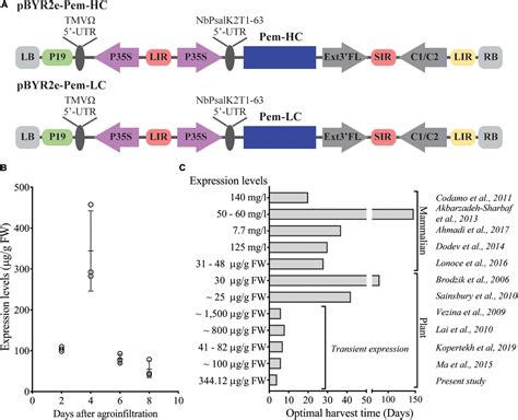 Frontiers Functional Characterization Of Pembrolizumab Produced In