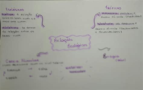 SOLUTION Mapa mental sobre Relações Ecológicas Studypool