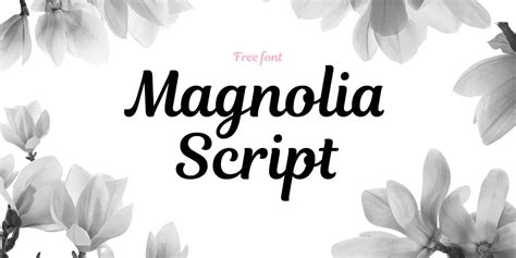 Magnolia Script Font Befonts