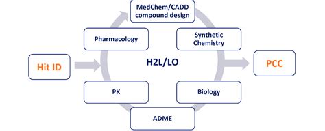 Integrated Drug Discovery Bioduro Sundia