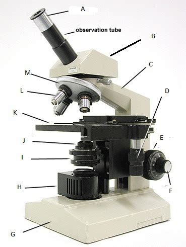 Parts Of A Microscope Flashcards Quizlet