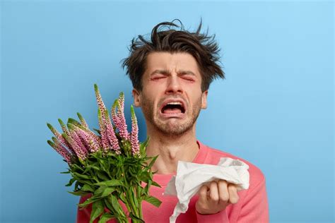 Alergia Wziewna Objawy Przyczyny I Leczenie Aptekazawiszy Pl