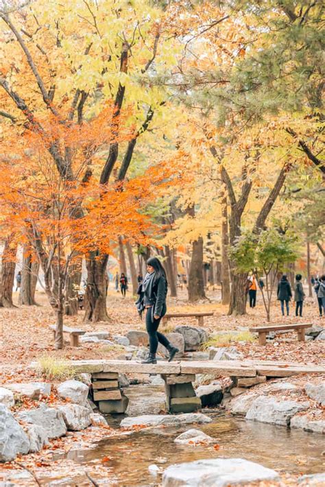 Nami Autumn Gina Bear S Blog