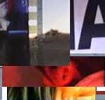 Comunicación Patagónica El precio de los productos agropecuarios se
