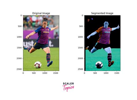 image segmentation using grabcut scaler topics