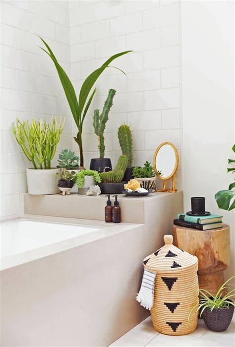 Decorar el baño con plantas 7 ideas para que añadas un poco de verde