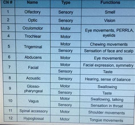 Neurological Examination Flashcards Quizlet