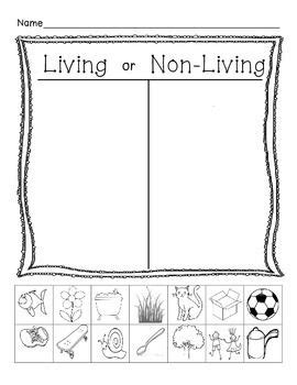 Pin On Living And Non Living And Ecology