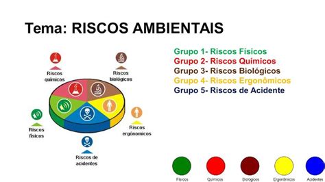 Riscos Ambientais Interactive Books Author