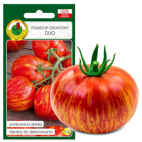 POMIDOR GRUNTOWY DUO PASKOWANY NASIONA BEZ GMO Pnos Cena Opinie