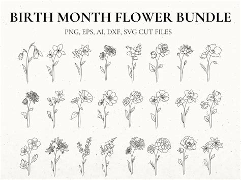 Birth Month Flowers Svg Bundle Ubicaciondepersonas Cdmx Gob Mx