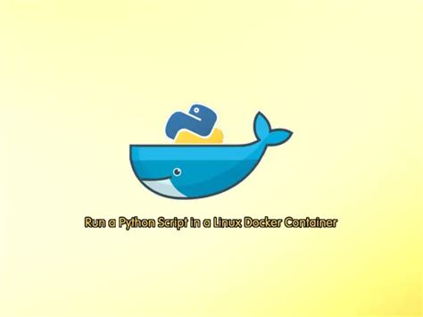 Run A Python Script In A Linux Docker Container Orcacore