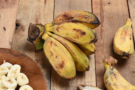 8 Manfaat Baik Pisang Kepok Untuk Ibu Hamil Wajib Tau