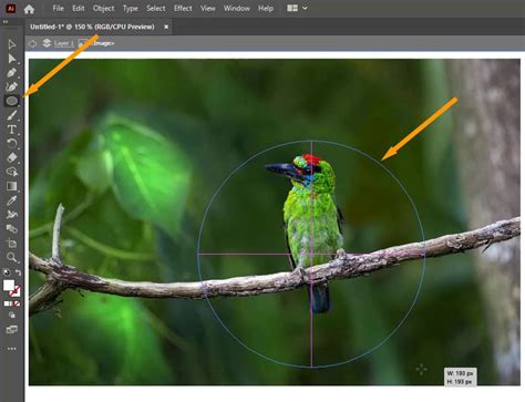 How To Crop An Image Into A Circle In Illustrator Ezgyd