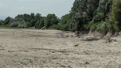 Sicilia Siccit A Livelli Gravi Obbliga Al Razionamento Dell Acqua