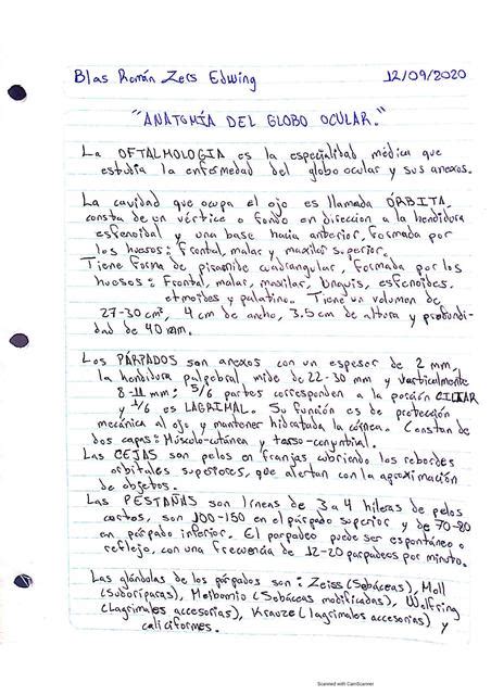 Anatomía del globo ocular Zers Blas uDocz